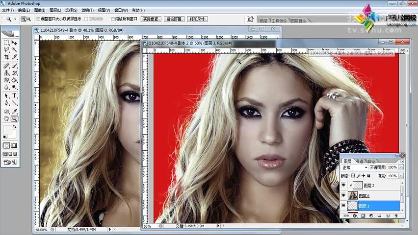 用Vertus Fluid Mask 插件抠出头发