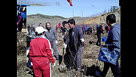 鹤岗市委组织各协会参加植树并授予国家冠军队员为鹤岗市创建国家...