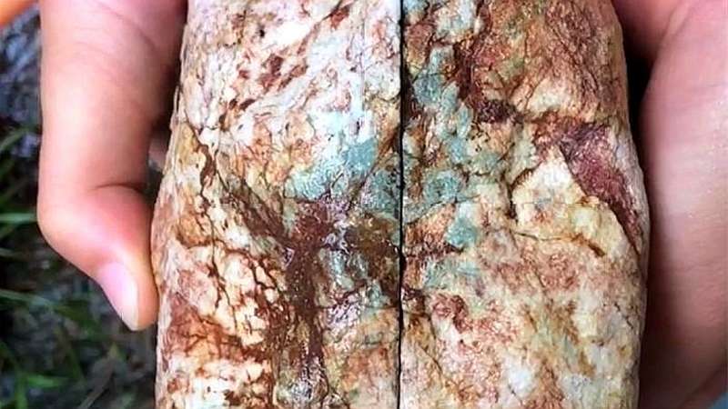 这是挖石大哥送我的翡翠原石,切开里面是这样的,你觉得他后悔吗
