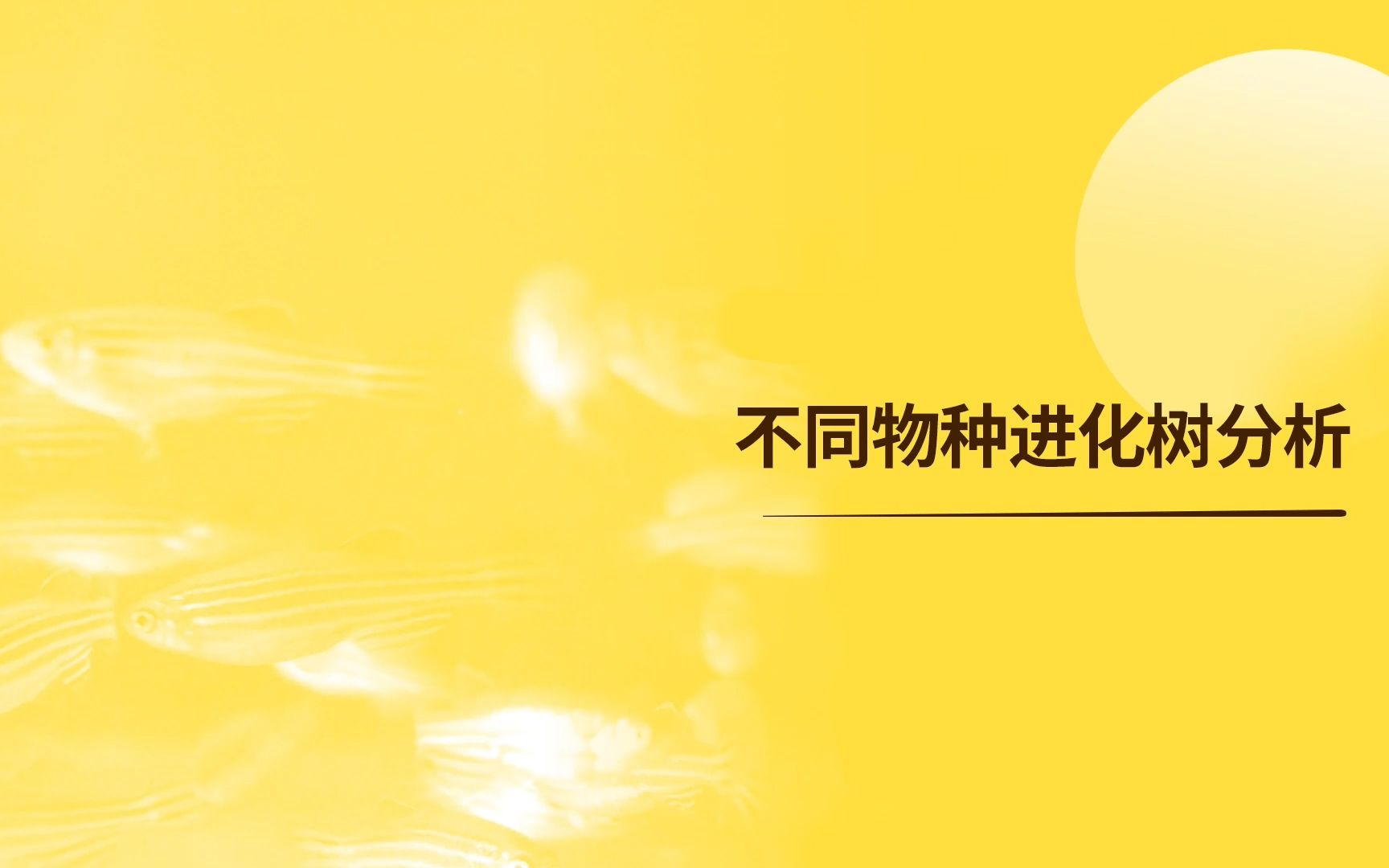 不同物种进化树分析 | 生命的种子科学实验