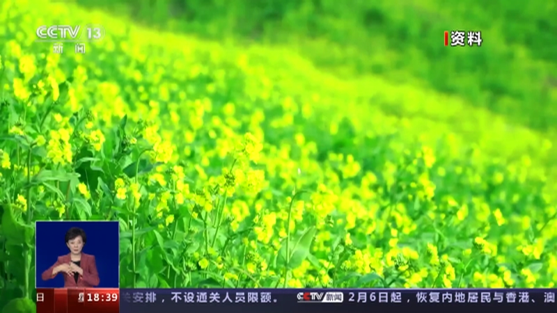 [共同关注]一问到底:万物生长 立春将至 今年立春有啥不一样? 今年立春...