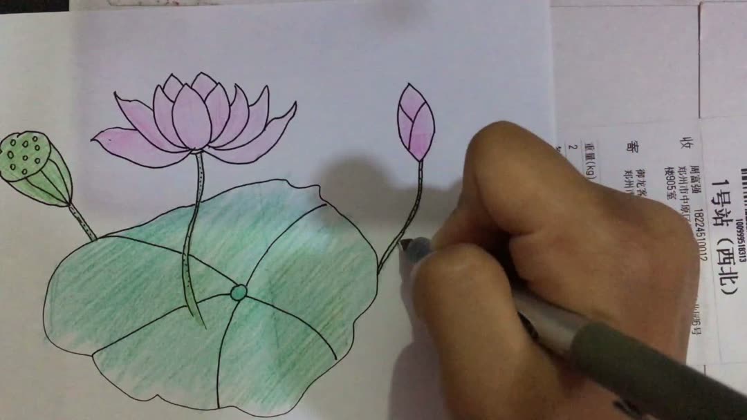 荷花简笔画,校园里的荷花开了,教孩子们画漂亮的荷花