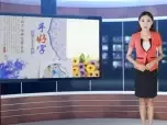 硬笔书法课程 张神农数字化练字法 如何写字好看