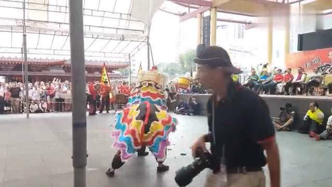 中国传统的优秀文化舞狮,农村不常见了,却在海外红红火火