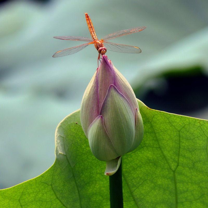 繁华依旧影视经典 