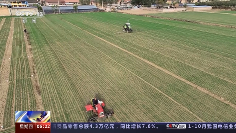 [朝闻天下]自然资源部 非法占用农用地违法犯罪典型案例公布