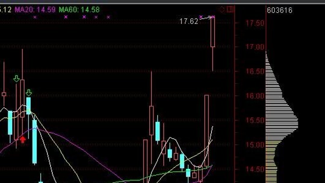 炒股高手13年坚持MACD战法,惊醒无数亏钱散户