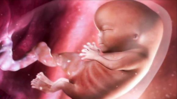 孕期1-9月胎儿发育全过程,3D动画逼真演示,感叹生命的神奇!