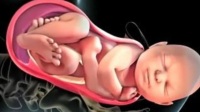 女性生孩子到底有多疼?国外医生用3D模拟全过程,看完一身冷汗!