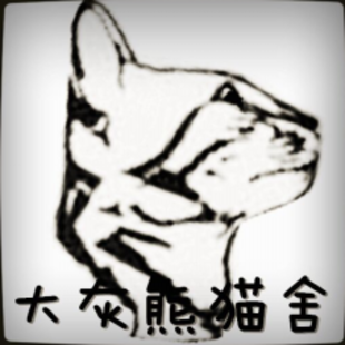 大灰熊豹猫 