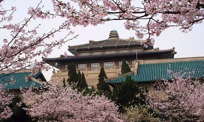 赏樱季即将到来,武汉最佳赏樱推荐地,全部不收取门票!