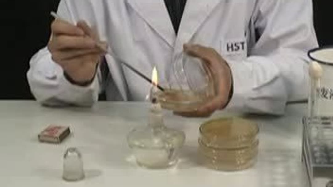 微生物的实验室培养