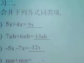 G:初中数学课堂实录(01)同类项同类项1.asf