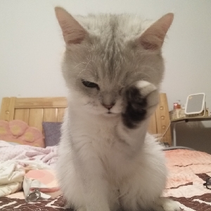 二月的云 