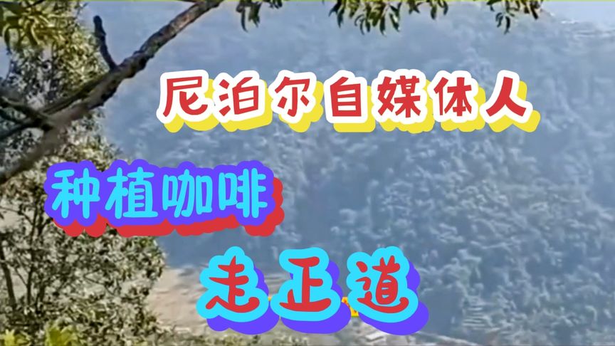 尼泊尔自媒体人,种植咖啡走正道!