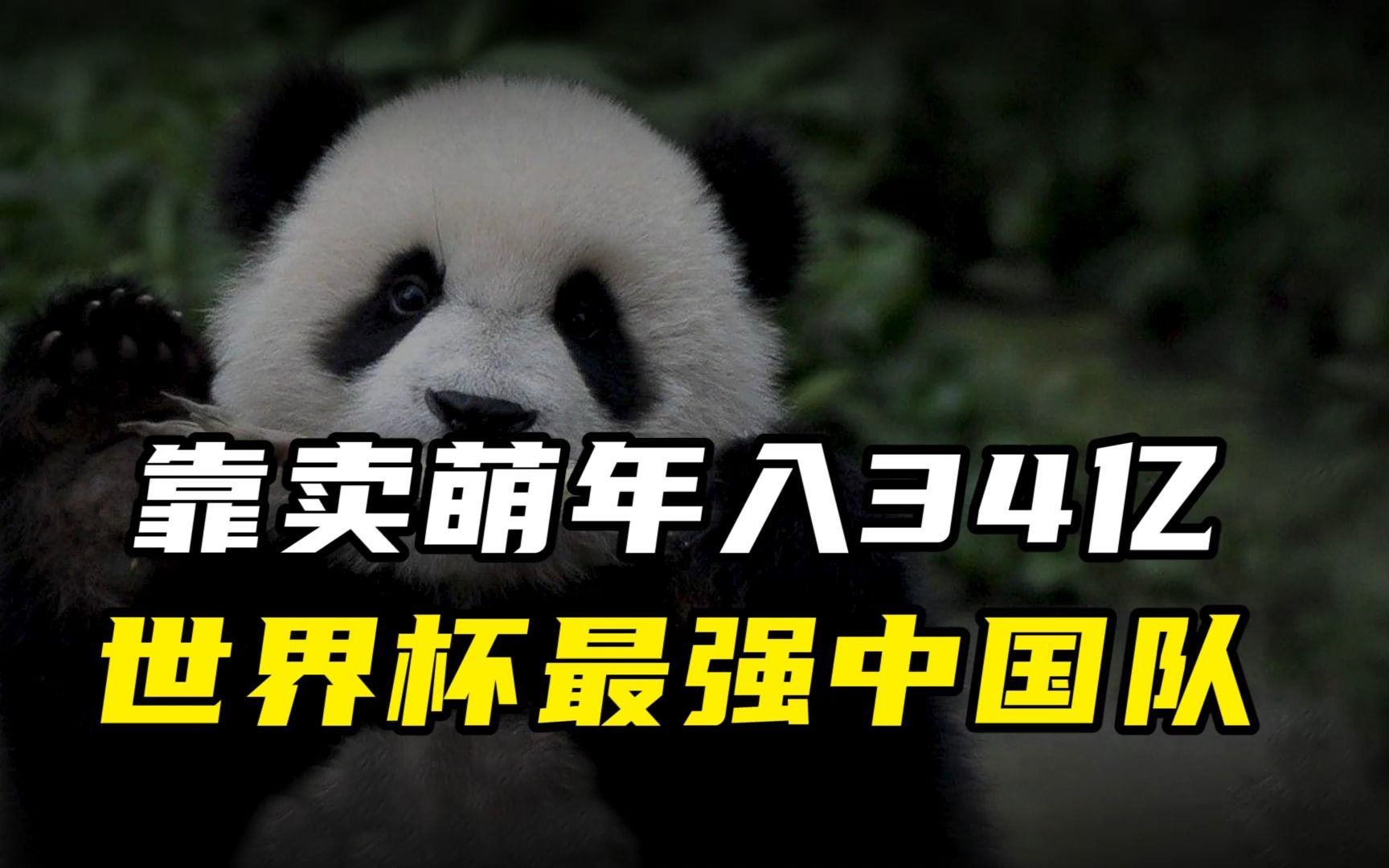 卡塔尔世界杯,TA才是最大赢家