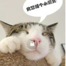渔火欲浮天ߒ 