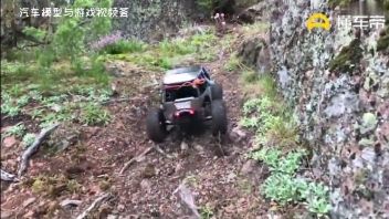 RC模型车越野,这越野能力还不错!