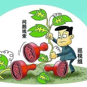 老海看农村 
