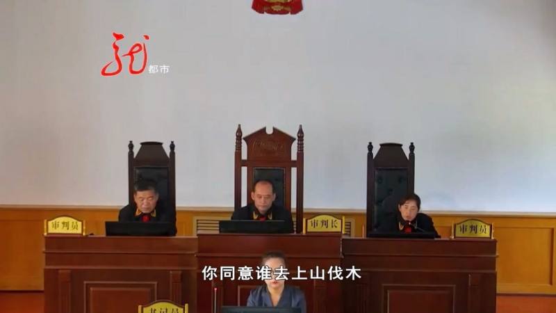 庭审三:为防井下冒落 又来盗伐林木