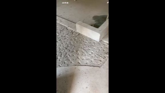 某开发商分户验收,这房子质量真是堪忧啊,空鼓尽是一大片