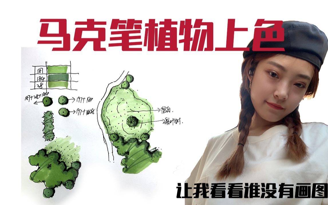 【阿冷自制】平面植物马克笔上色 单棵树+云树团+草地 配色推荐 画法...