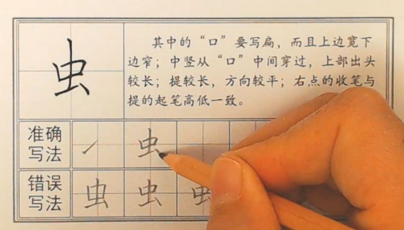 文墨练字:小学生硬笔书法,第五讲:4、例字:虫