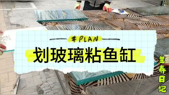 准备把热带鱼搬到新鱼房 去玻璃店买玻璃自己粘鱼缸 能省很多钱