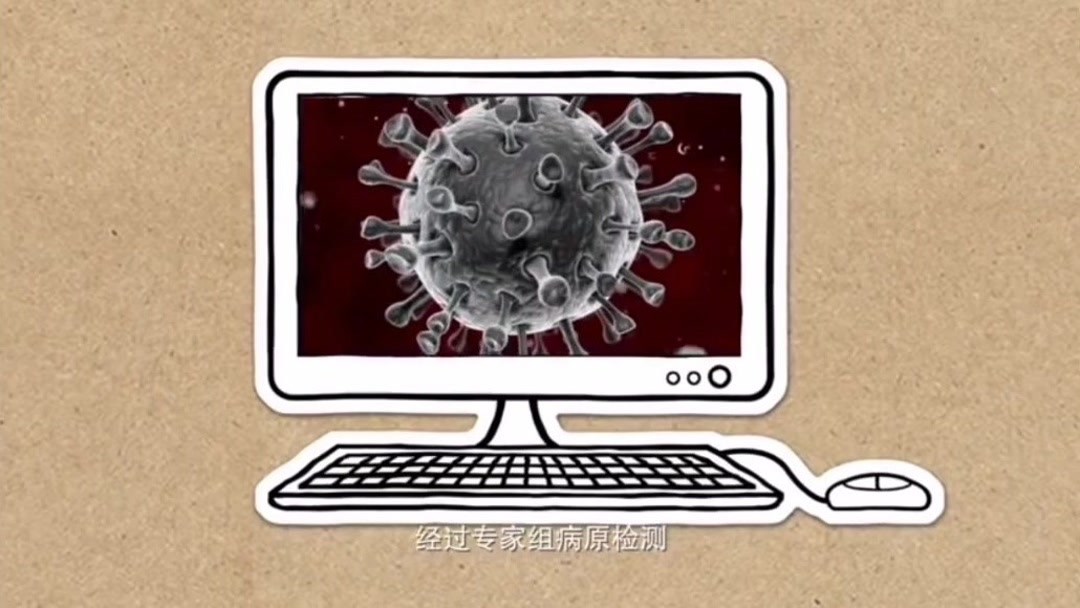 冠状病毒介绍