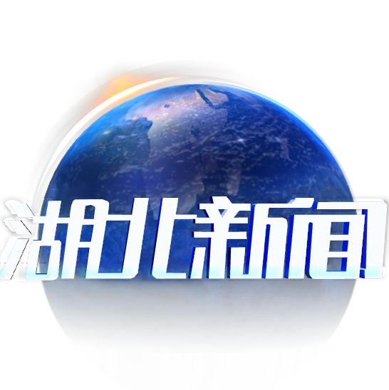 湖北新闻 