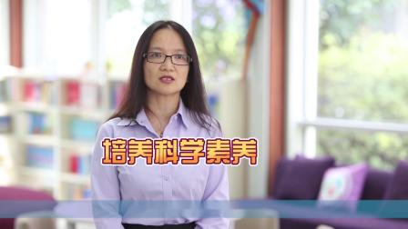 STEM《教学锦集》