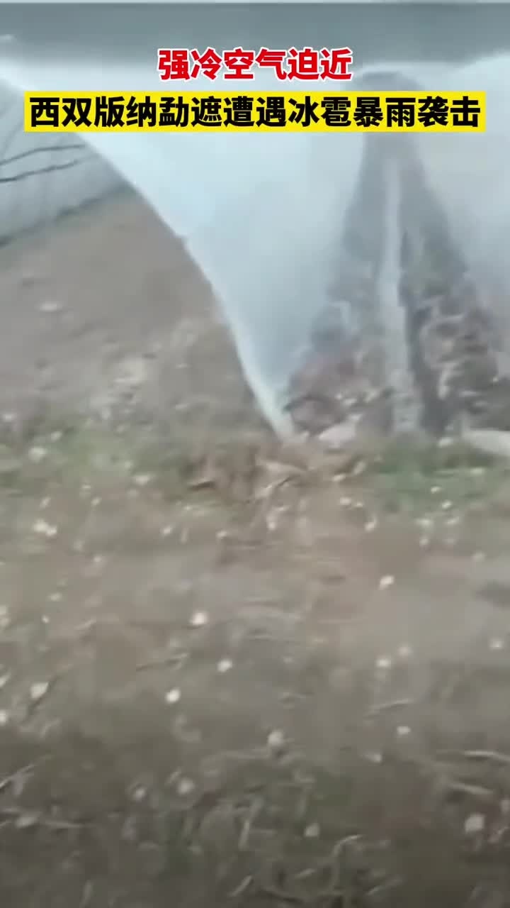 强冷空气迫近,西双版纳动遮遭遇冰雹暴雨袭击