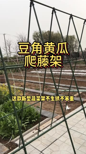 黄瓜豆角爬藤架,包塑加钢管材质