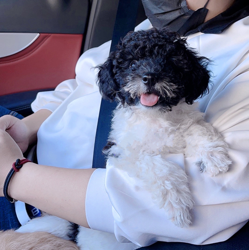 珠海带你看好房 