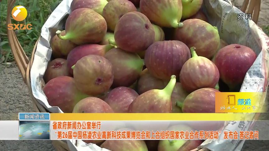 杨凌农高会:上海合作组织现代农业发展圆桌会议筹备正在有序进行