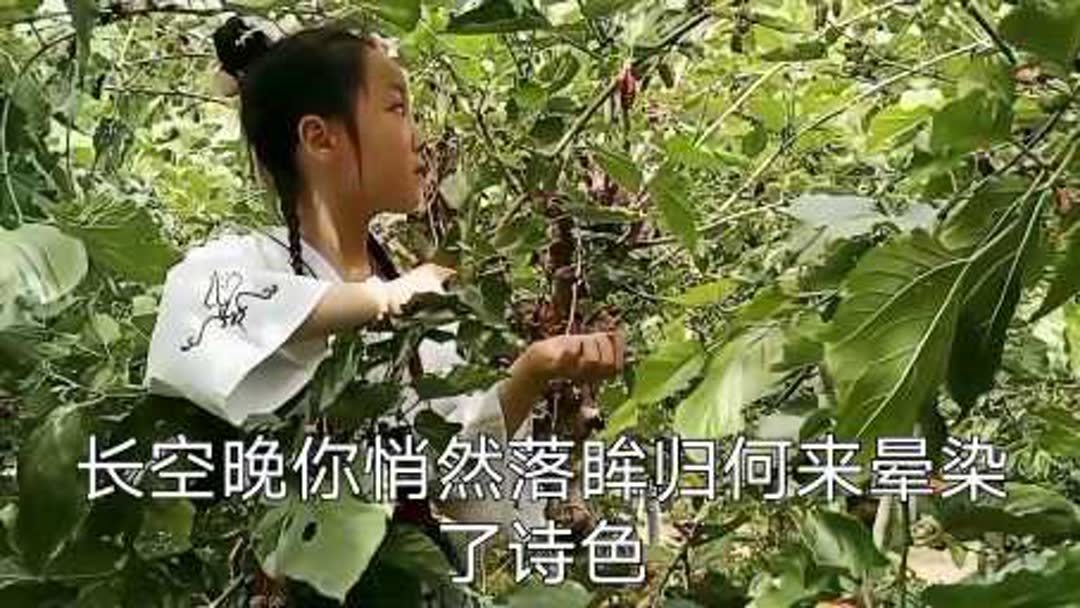 古诗手语操:里面加入了生活、手语操、动听的歌曲、桑椹园实景。