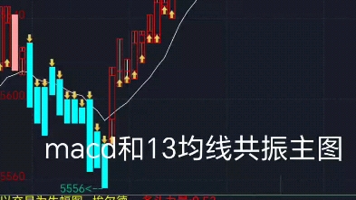 以交易为生一套指标公式代码分享在简介 主图macd均线共振 副图...