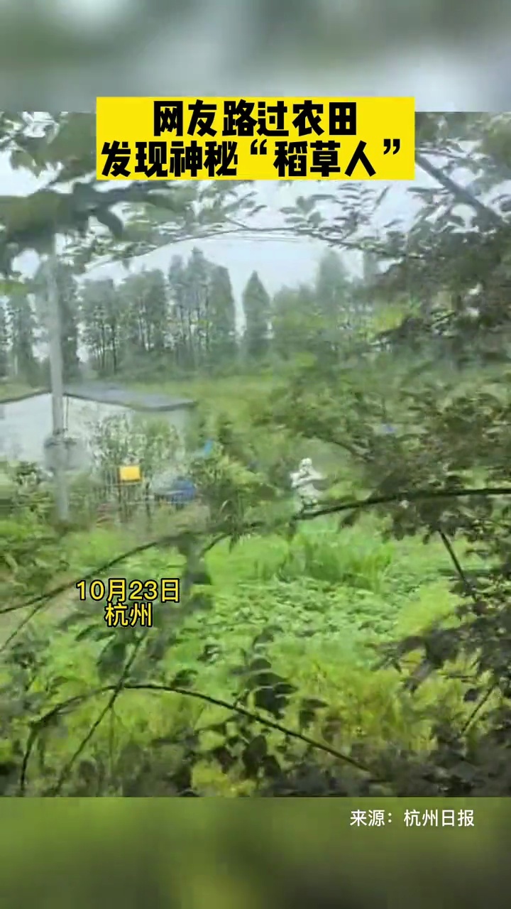 网友路遇农田,发现神秘"稻草人"