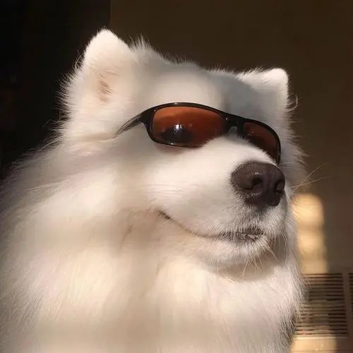 css老王 