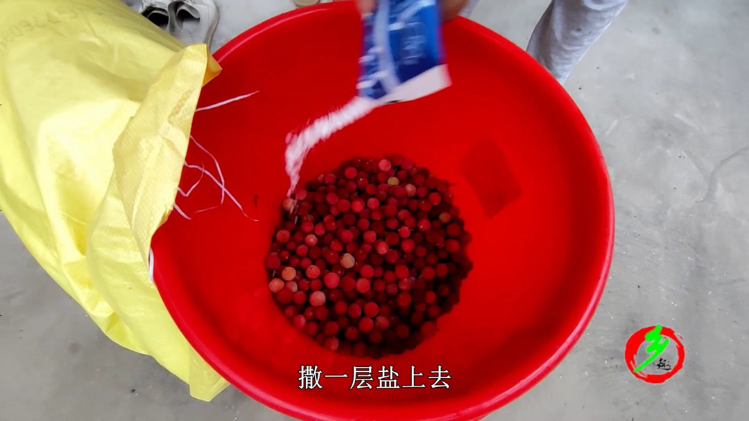 杨梅干前道工序没做好,后面放在多糖它都是酸的,你做对了吗