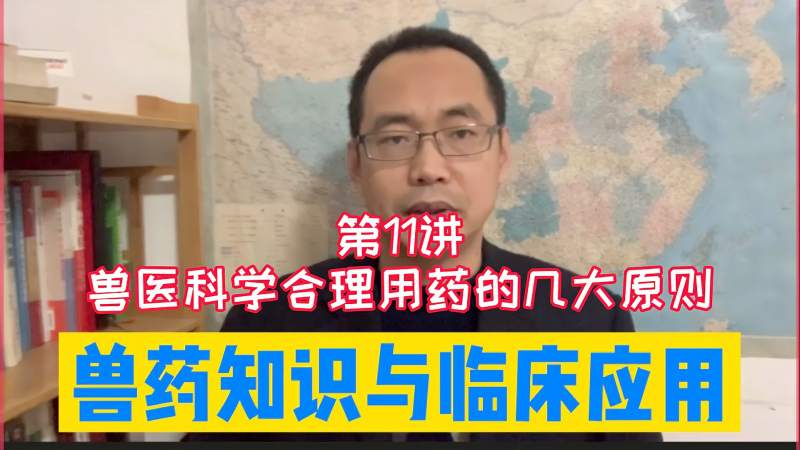 第11讲兽医科学合理用药的几大原则