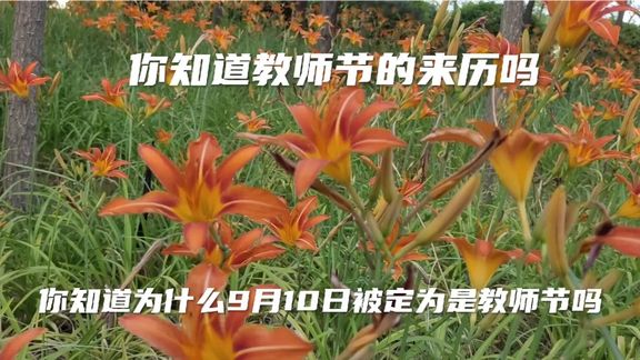 教师节的来历——ߌ�君君语录ߌ