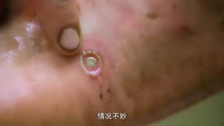 野外求生德爷单挑荒野之婆罗洲原版高清全集,连载四