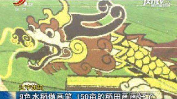 辽宁沈阳:9色水稻做画笔 150亩的稻田画画好了