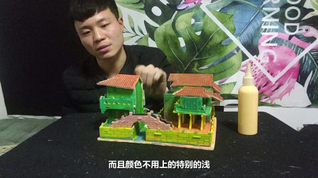 十来块钱买的木质3D拼图,自己上色后效果很棒。