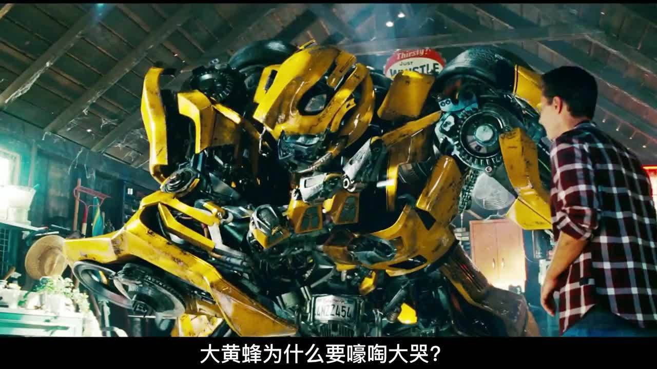 第1集:大黄蜂为什么要嚎啕大哭