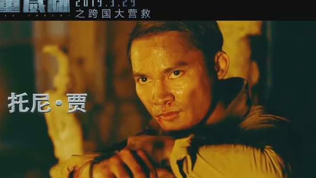 《三重威胁之跨国大营救》电影剧情介绍