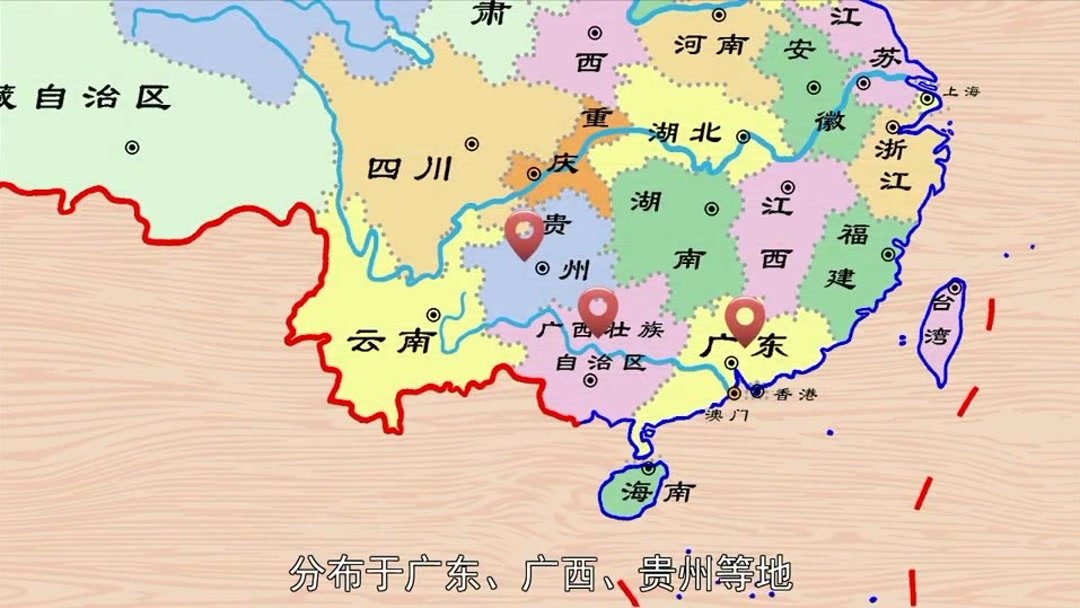 「秒懂百科」一分钟了解樟树子