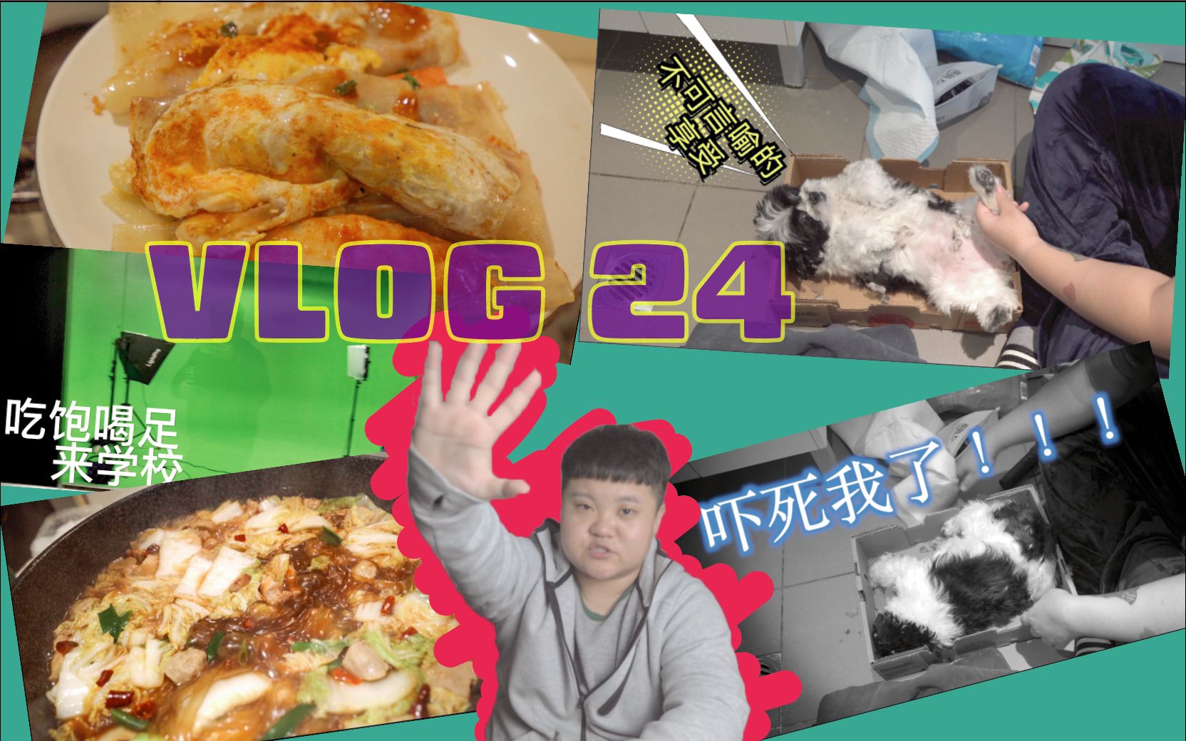 【悉尼小胖熊】Vlog 24/戏精狗家庭保健/自制烤冷面/晚课去学校/跟...