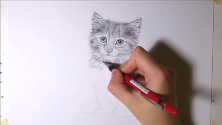 手把手教你如何画可爱的猫咪, 超简单, 学会给家里猫咪画一副吧